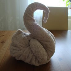Vyrob si sama: Labuť z ručníků - Chytrá žena