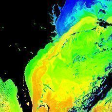 Golfský proud - Chytrá žena