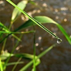 Akupunktura v praxi - Chytrá žena