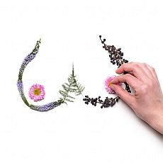 Zubní pasta a rakovina prsou? Propojení vás možná překvapí - Chytrá žena