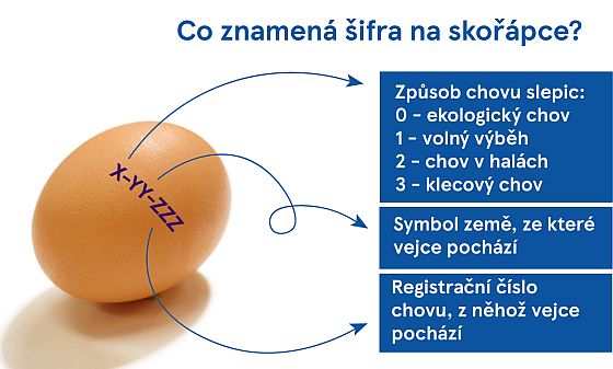 Jak číst informace na vejcích - Chytrá žena