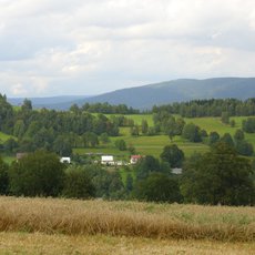 Proč nemám rád masáže - Chytrá žena